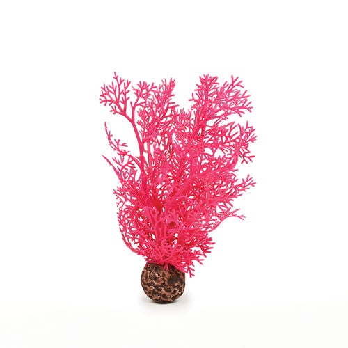 Sea Fan Medium Pink – biorb.ca