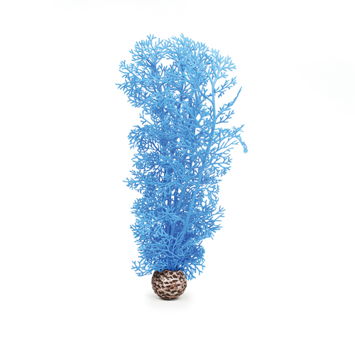 Sea Fan Medium Blue – biorb.ca